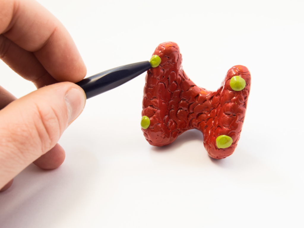 Endocrine Surgery - IN Surgery
